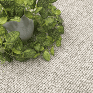 Jacobsen - Genesis - Giles Carpets Ltd